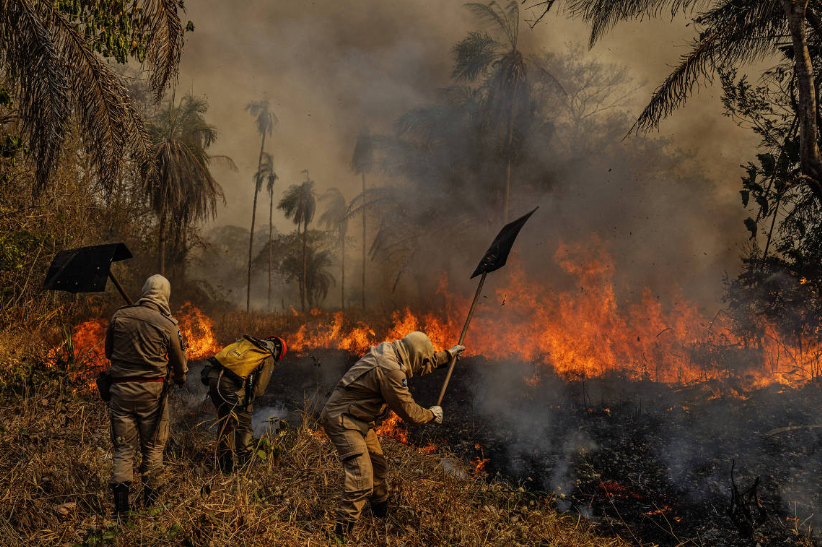 Com 900% de aumento nos focos de queimadas este ano, Pantanal alerta ambientalistas - Agenda do ...